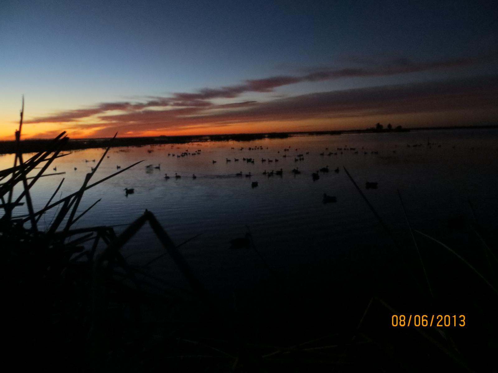 Gallery | Wings Inc.